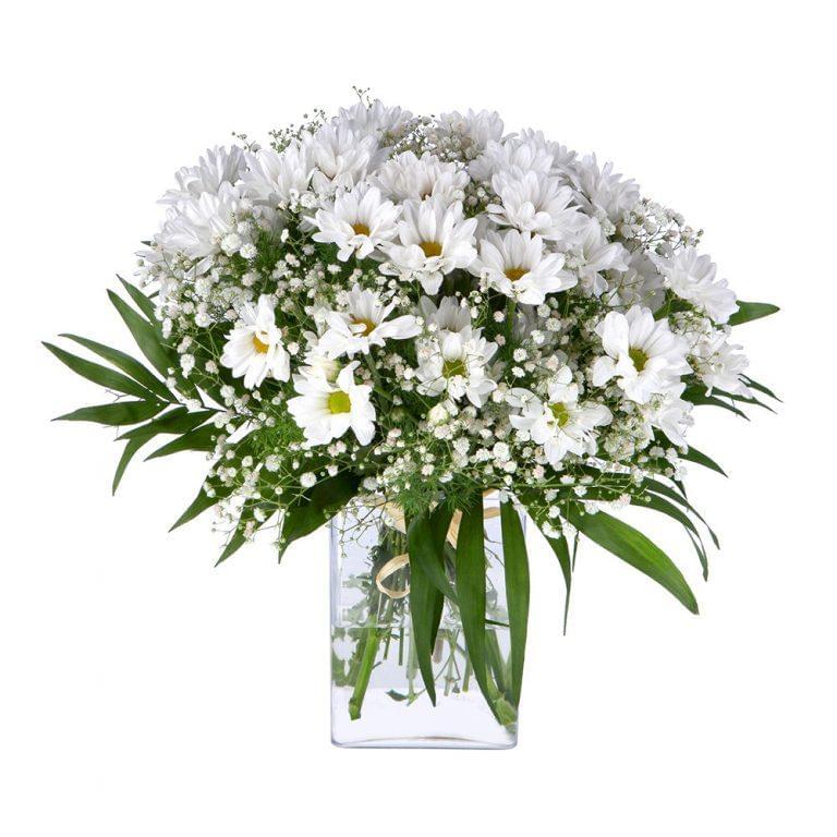Buquê de Margaridas brancas - Homeflora