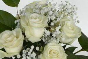 Conheça Mais Sobre a Gypsophila ou Vivaz | Homeflora©