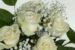 Conheça Mais Sobre a Gypsophila ou Vivaz | Homeflora©