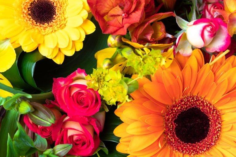Significado das flores - O que simboliza cada flor? - Homeflora